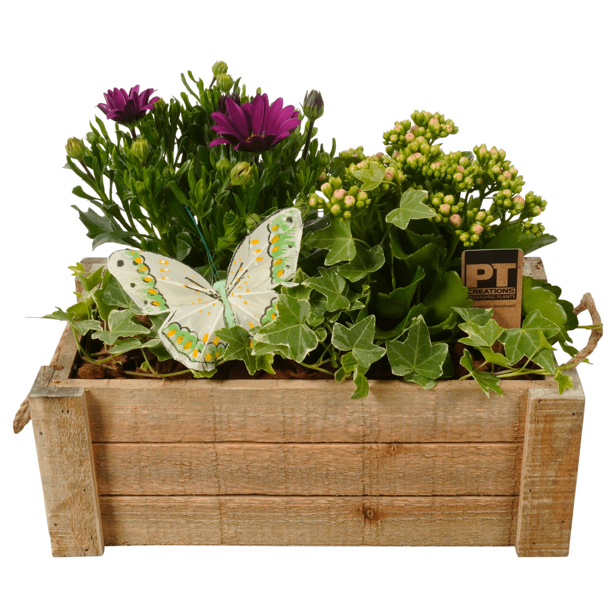 PTPP9039 - PT Creations