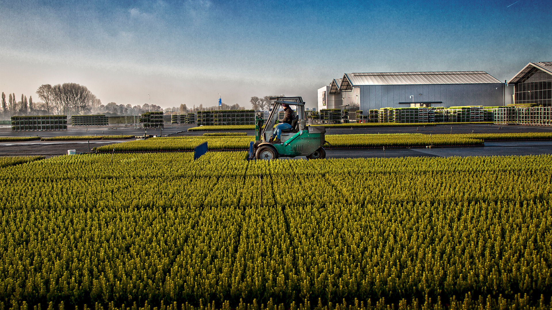 PHOTO GALLERY - PT Creations