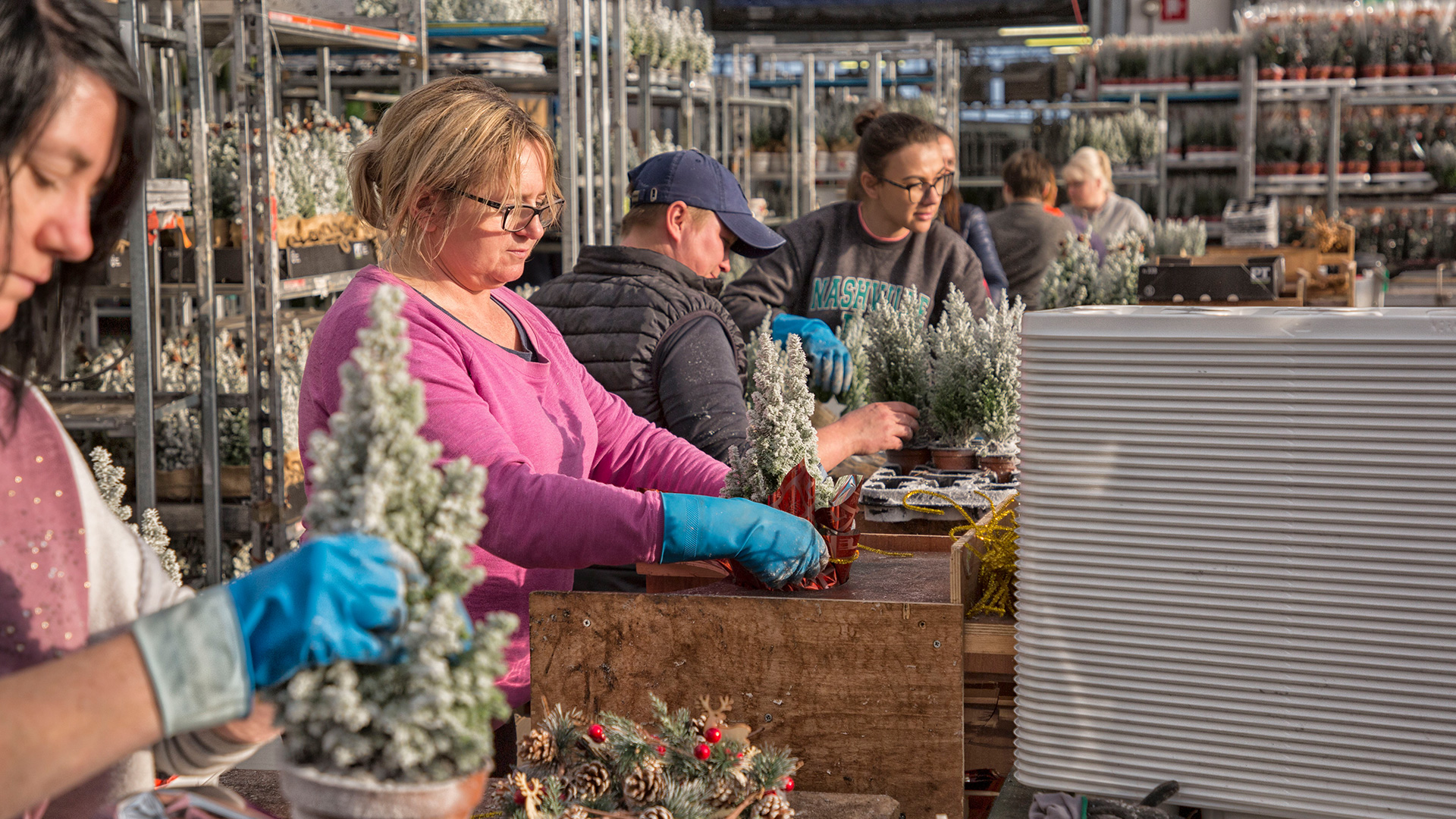 Foto gallery - PT Creations