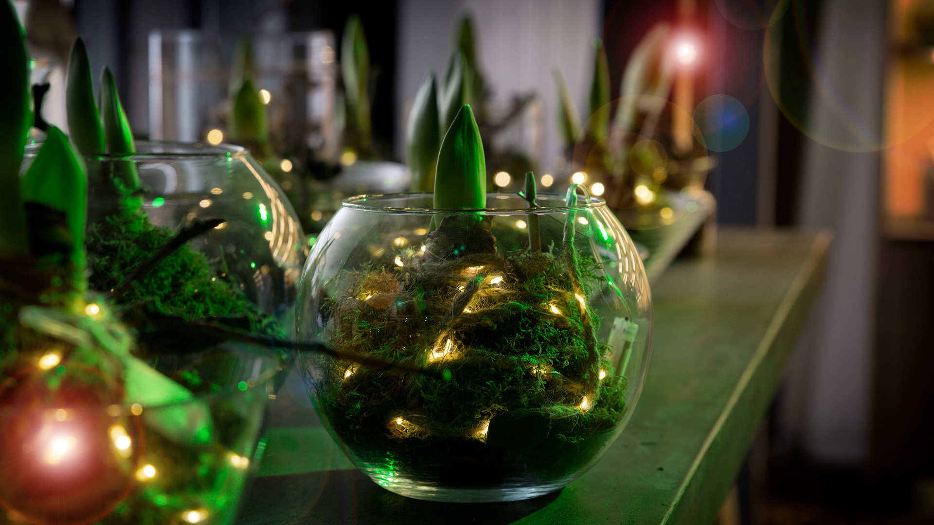 Foto gallery - PT Creations