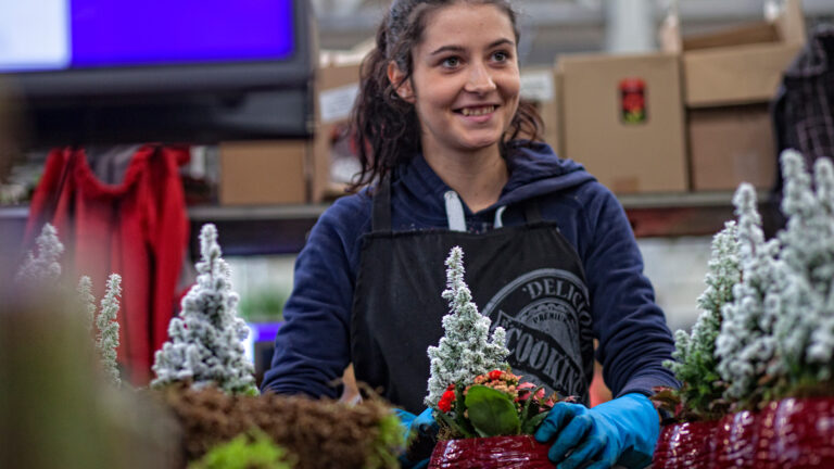 PHOTO GALLERY - PT Creations