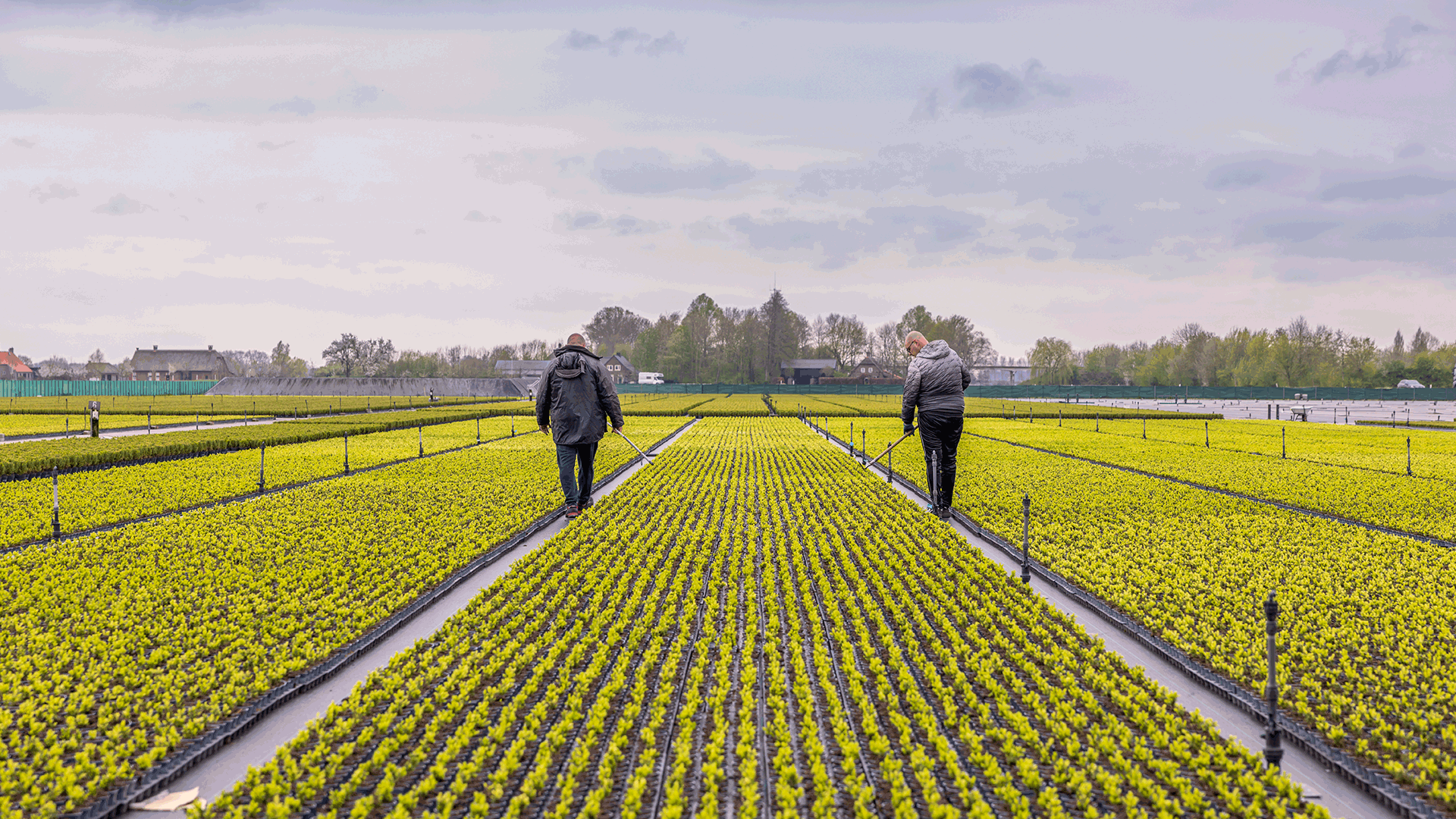 Foto gallery - PT Creations